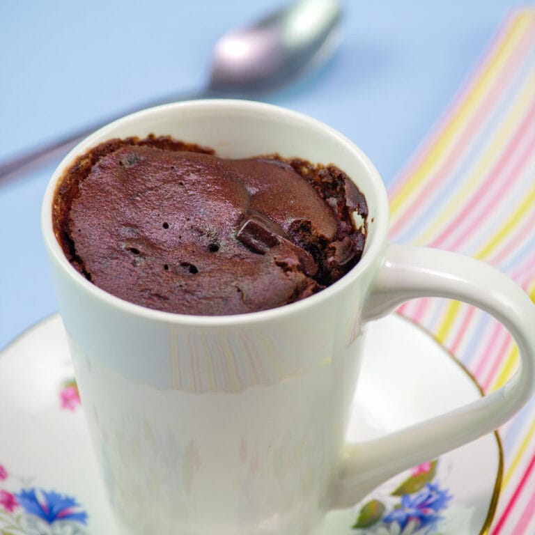 Chocolate Mug Cake {Easy.} (with VIDEO)