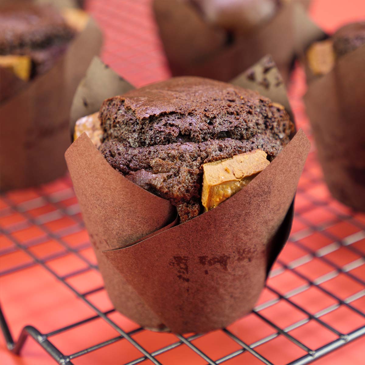Cocoa Muffin Recipe (with VIDEO) - Vargasavour Recipes